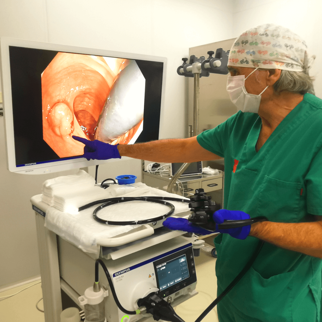 Digestive System - Lopez Cano